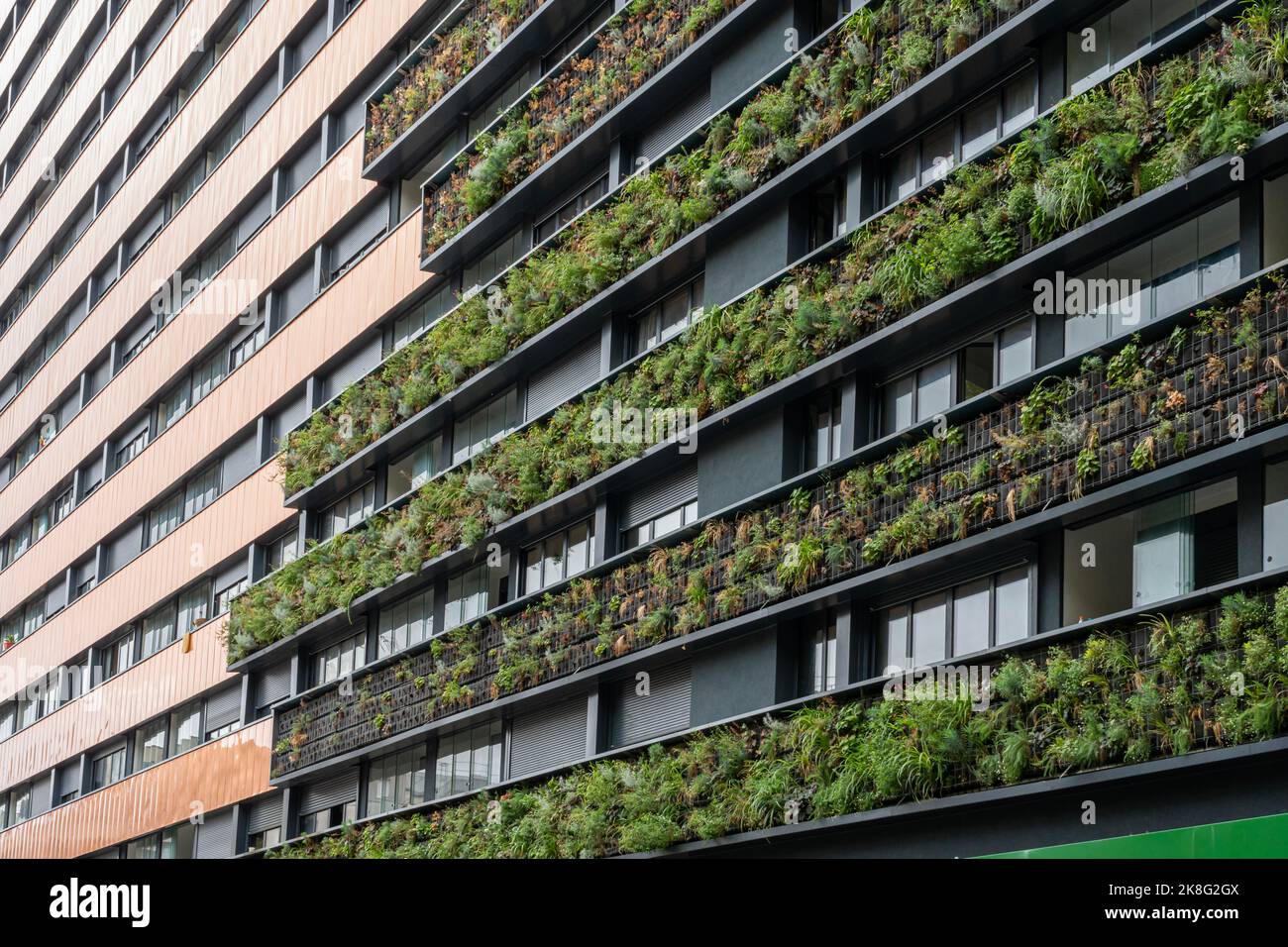 Eco-neighborhood. View of a half green wall Stock Photo - Alamy