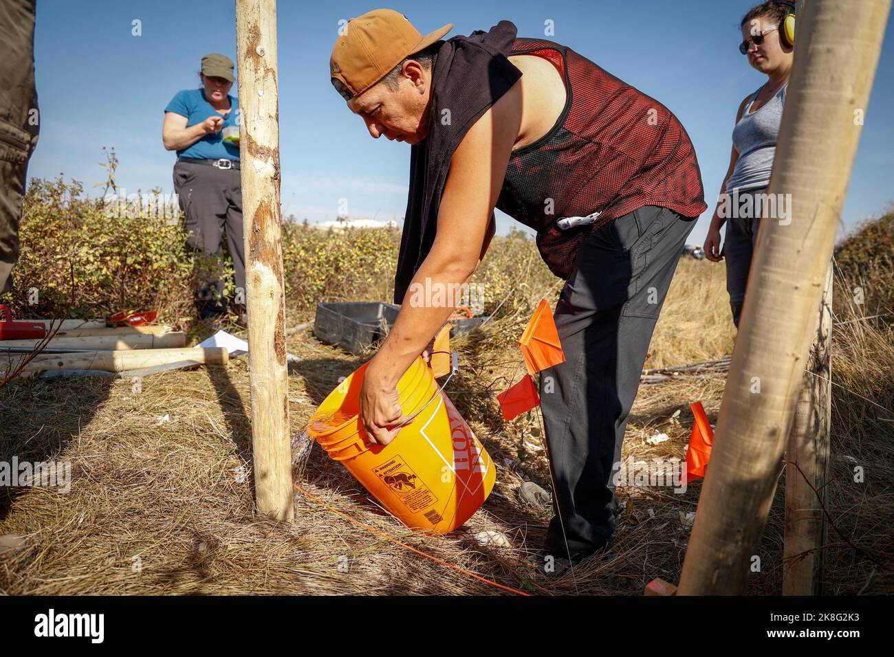 Alvin First Rider, of the Blood Tribe Land Management department, works ...