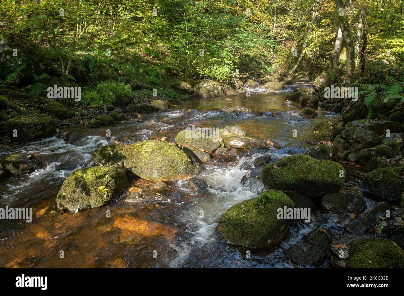 Upland section of the River Giedd in the Brecon Beacons National Park ...