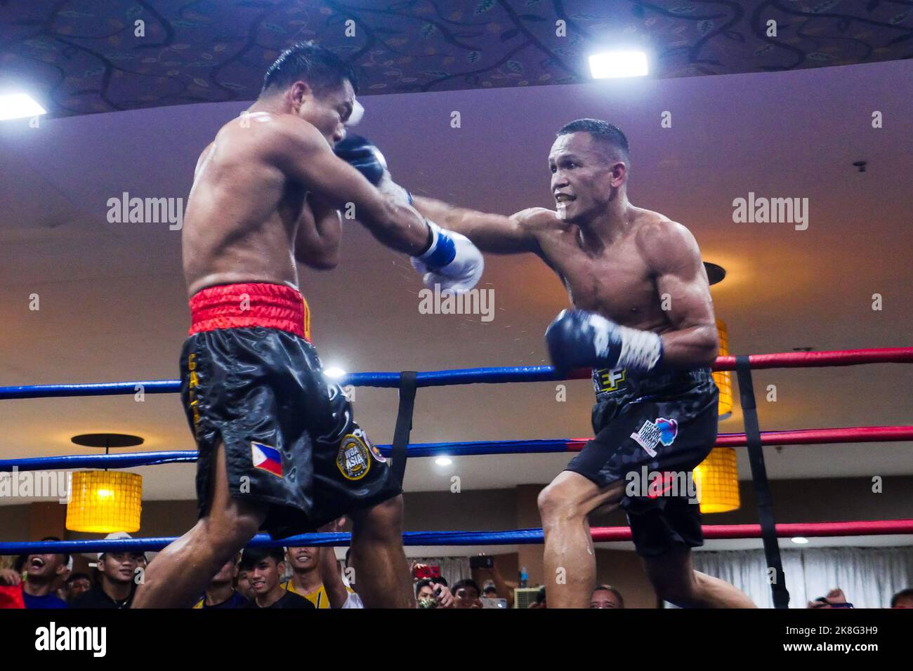 Quezon City, NCR, Philippines. 23rd Oct, 2022. The Ultimate Knockout ...