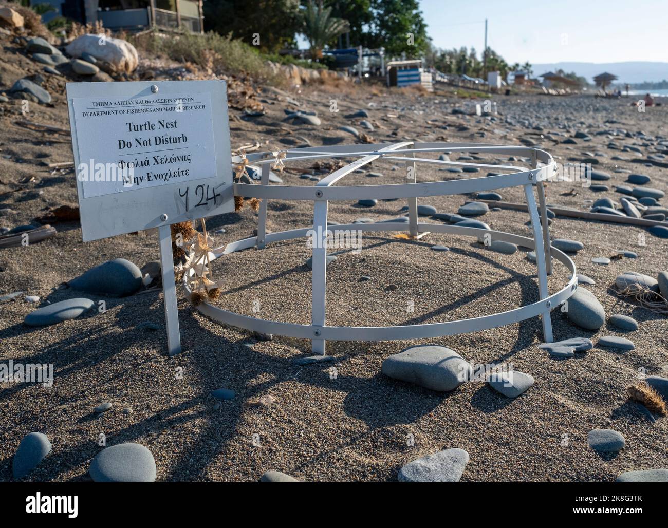 Protected turtle nest site on Argaka beach, Republic of Cyprus Stock ...
