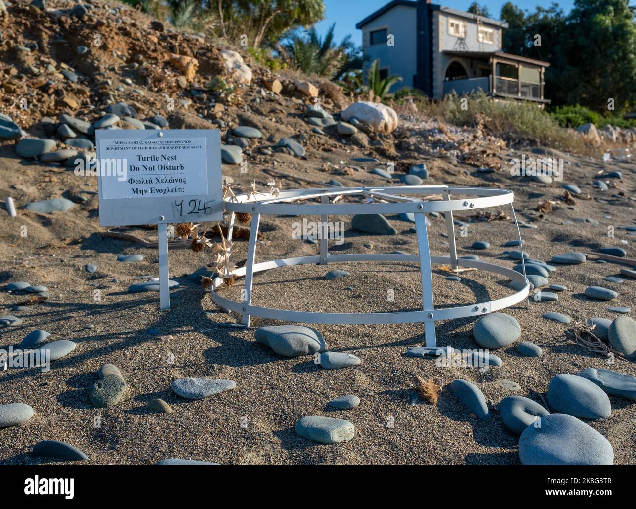 Protected turtle nest cyprus hi-res stock photography and images - Alamy