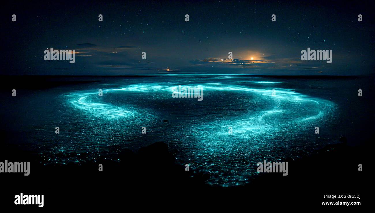 Bioluminescent plankton in water hi-res stock photography and images ...