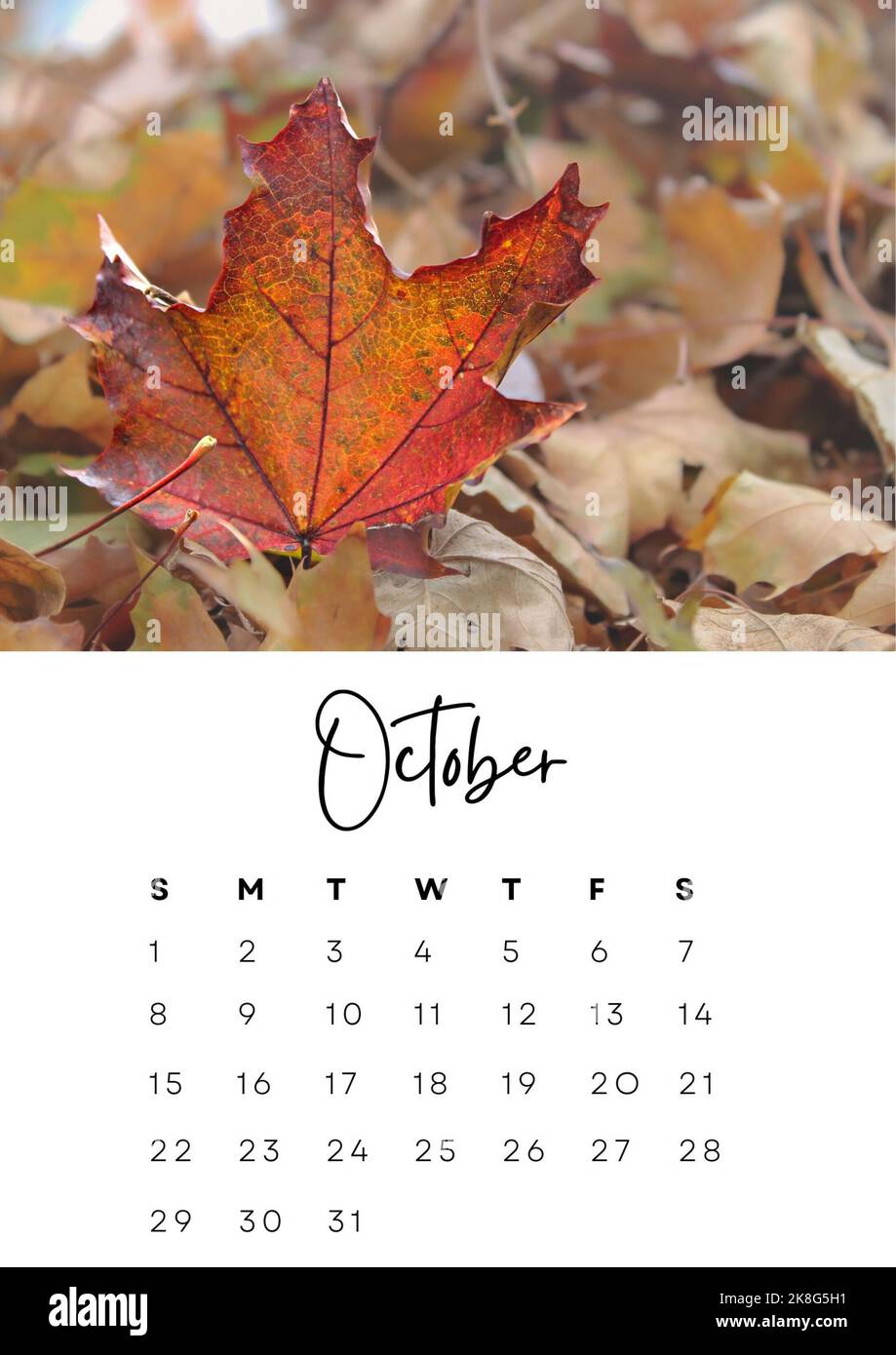 The month of october in the 2023 calendar with a autumn photo. Author's ...