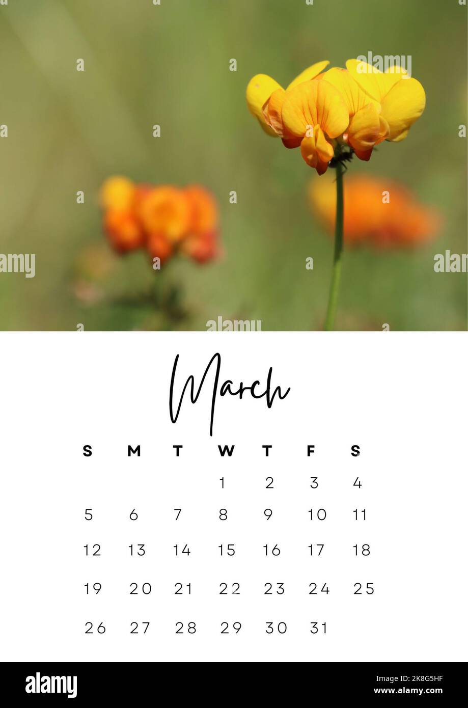 The month of march in the 2023 calendar with a spring photo. Author's ...