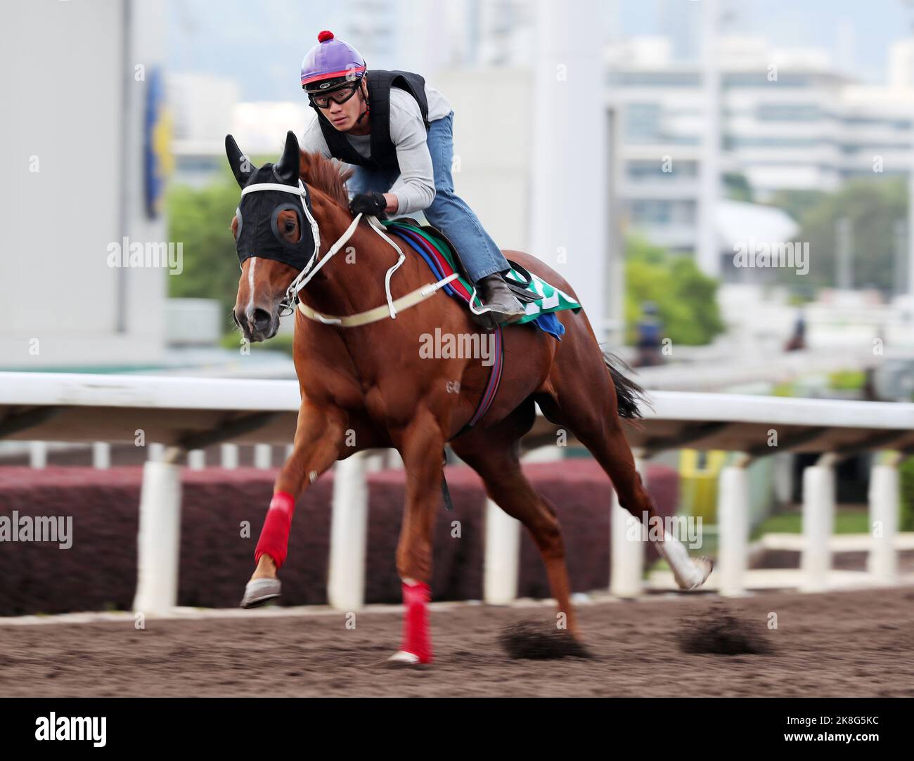 LIGHTNING WARRIOR galloping on the all weather track at Sha Tin ...