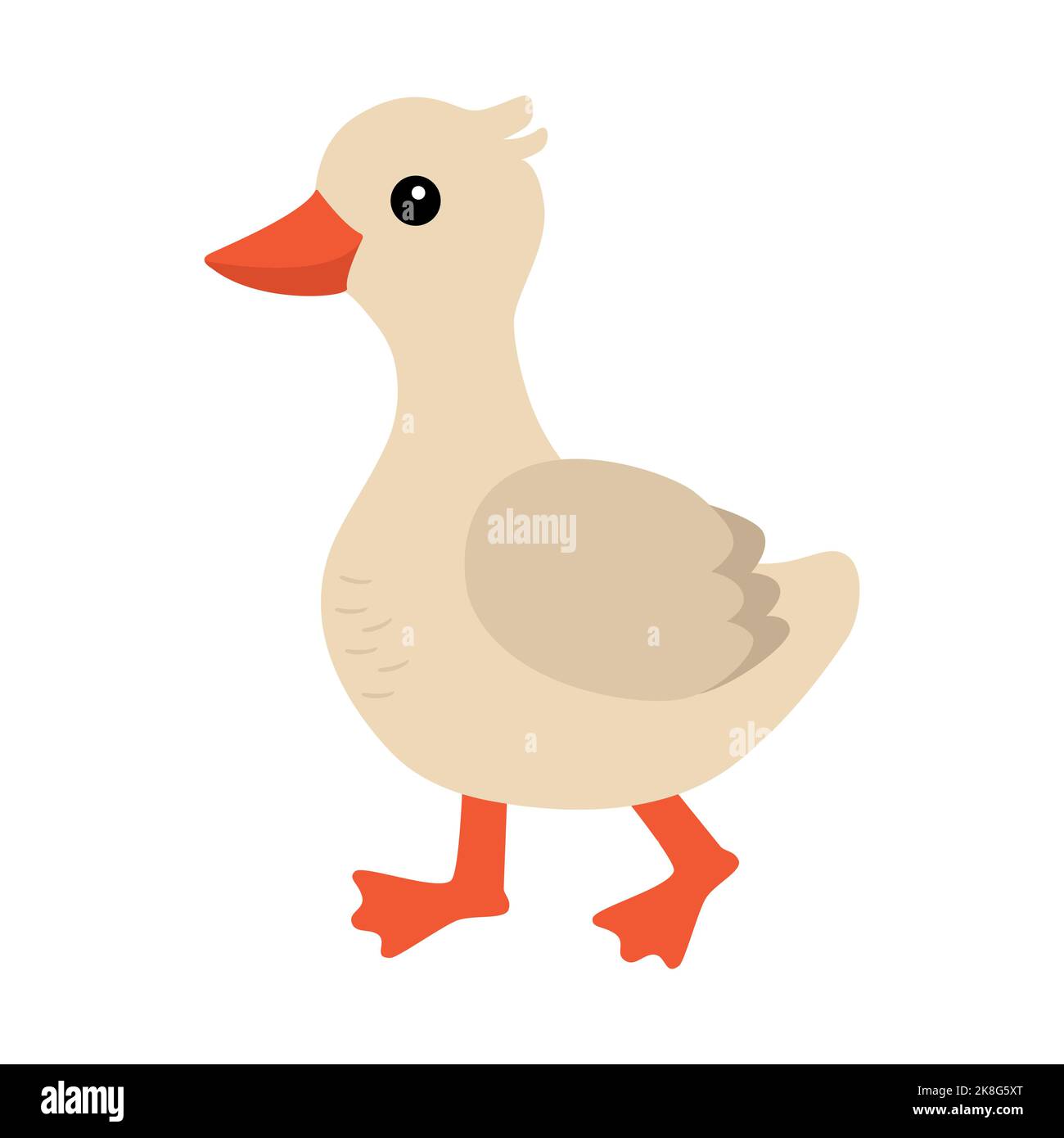 Cartoon illustration. Duck mother animal and family duckling Stock ...