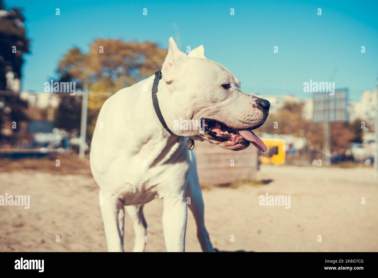 All white staff hi-res stock photography and images - Alamy