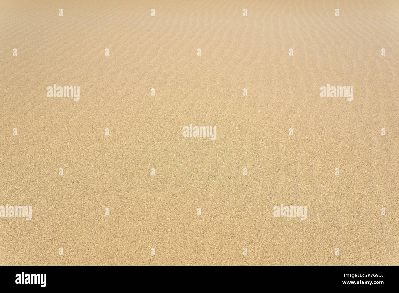 natural background, sandy desert surface with wind ripples Stock Photo ...