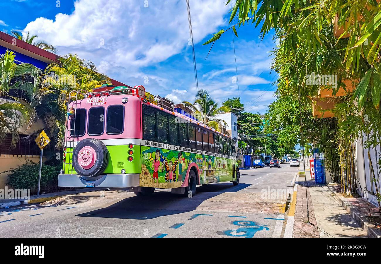 Various colorful buses bus in Playa del Carmen Quintana Roo Mexico ...