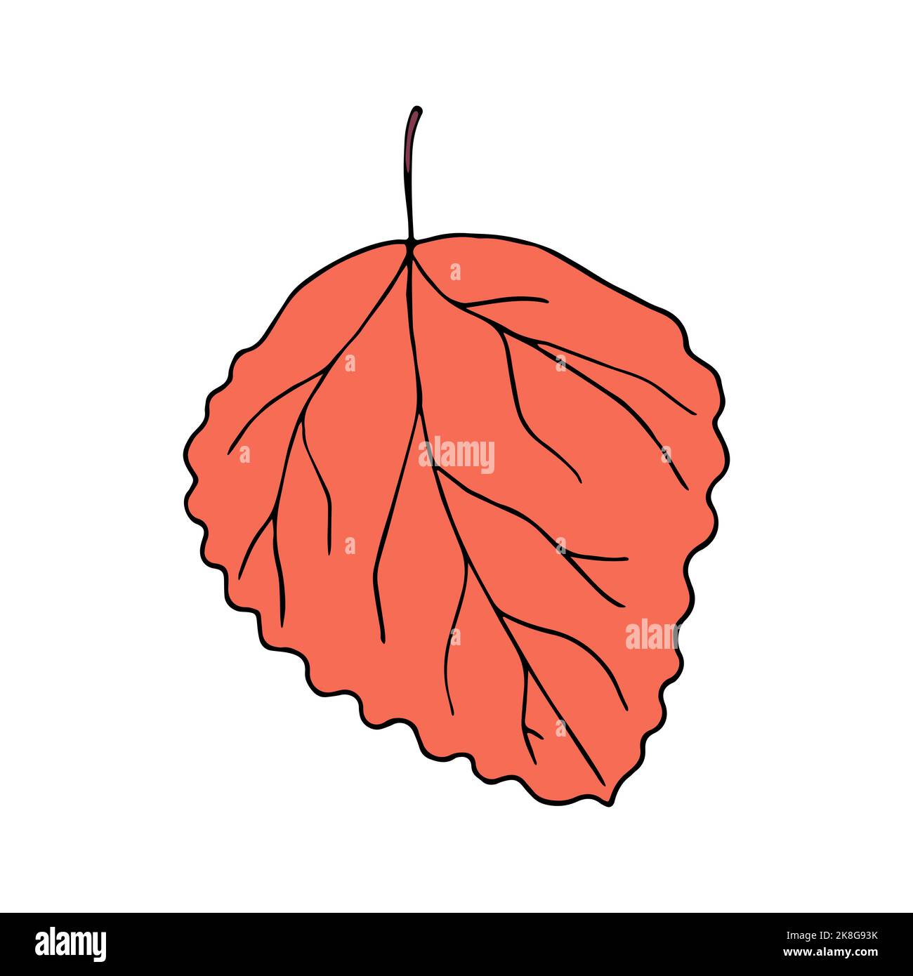 Vector illustration of aspen leaf in cartoon style. Colorful isolated ...
