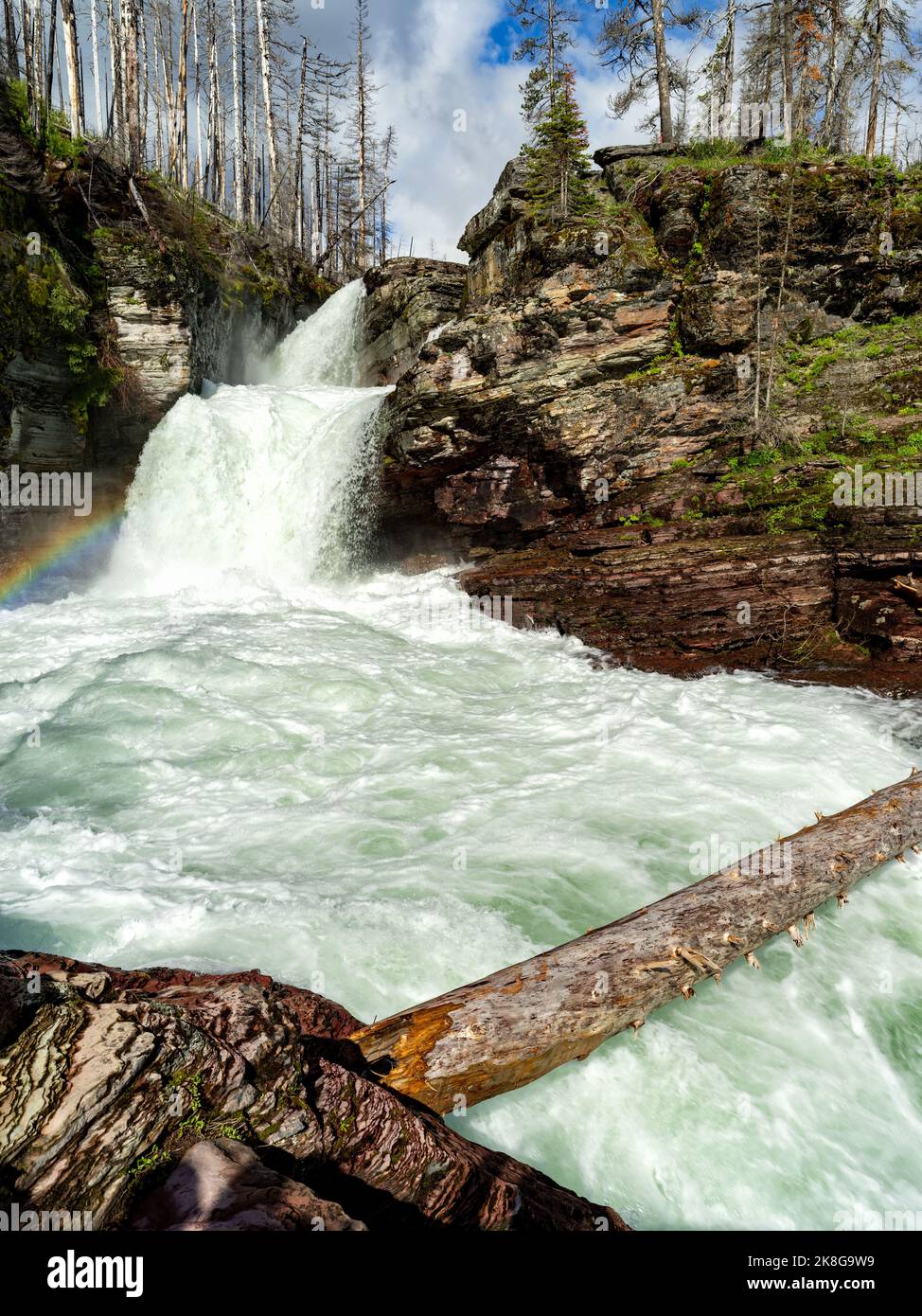 Log crossing in St. Mary River waterfall Stock Photo - Alamy
