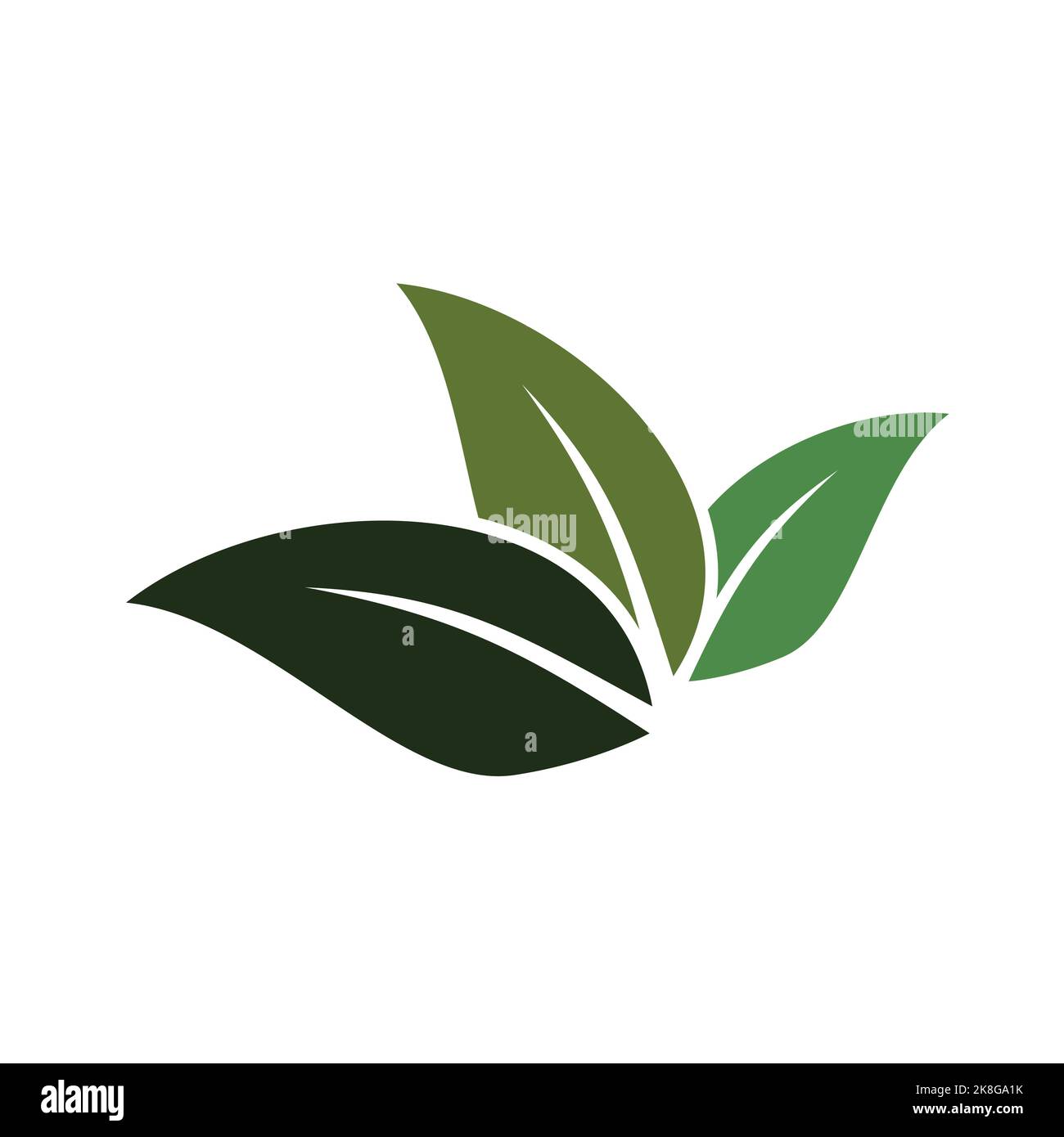 abstract nature leaf vector Stock Vector Image & Art - Alamy