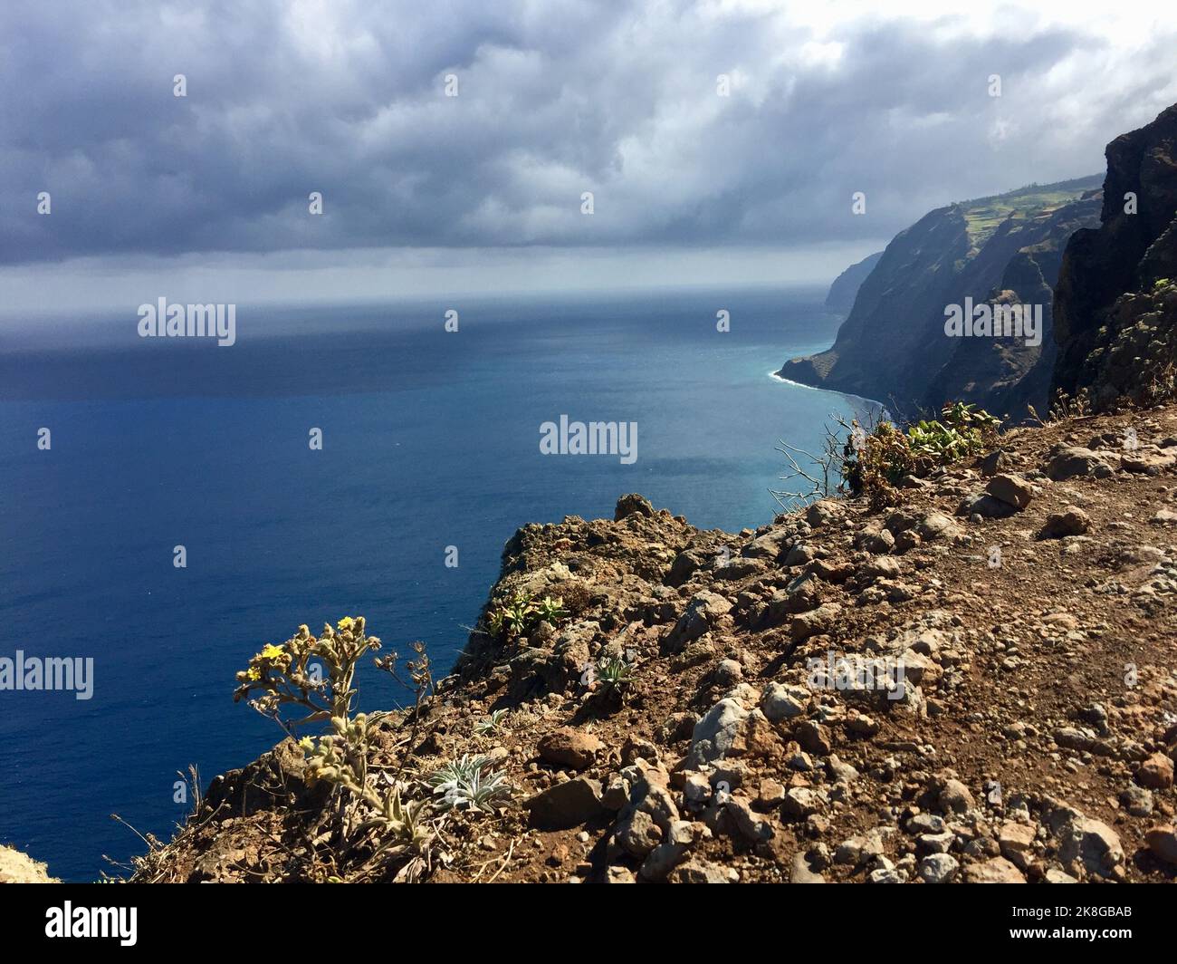 Madeira rock fish hi-res stock photography and images - Alamy