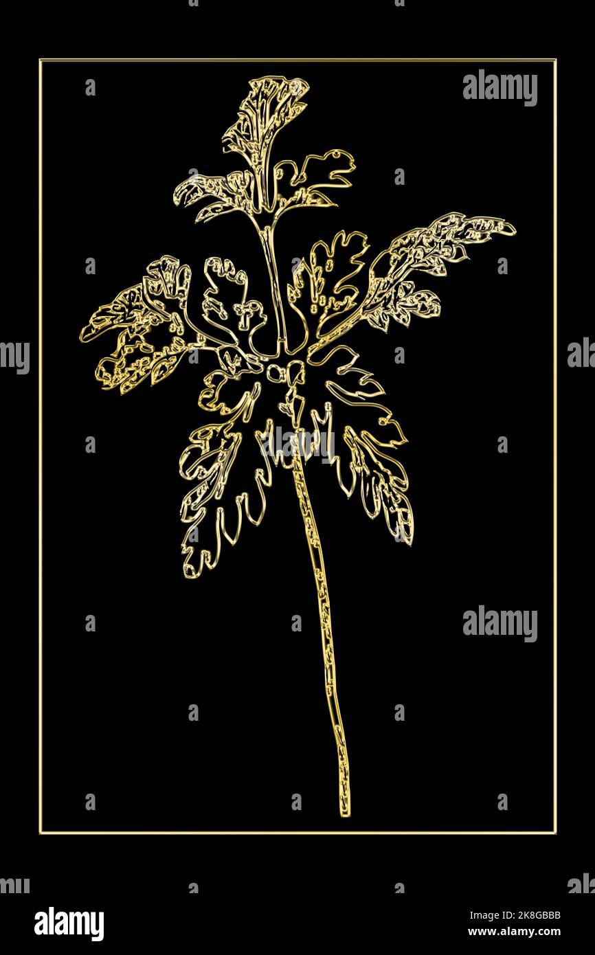 Luxurious 3D background with embossed gold pattern for use on Happy ...