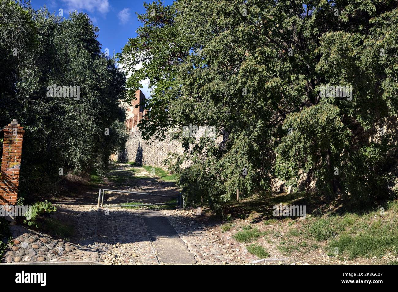 Gravel path on a hill bordered by a fortification and an olive tree ...