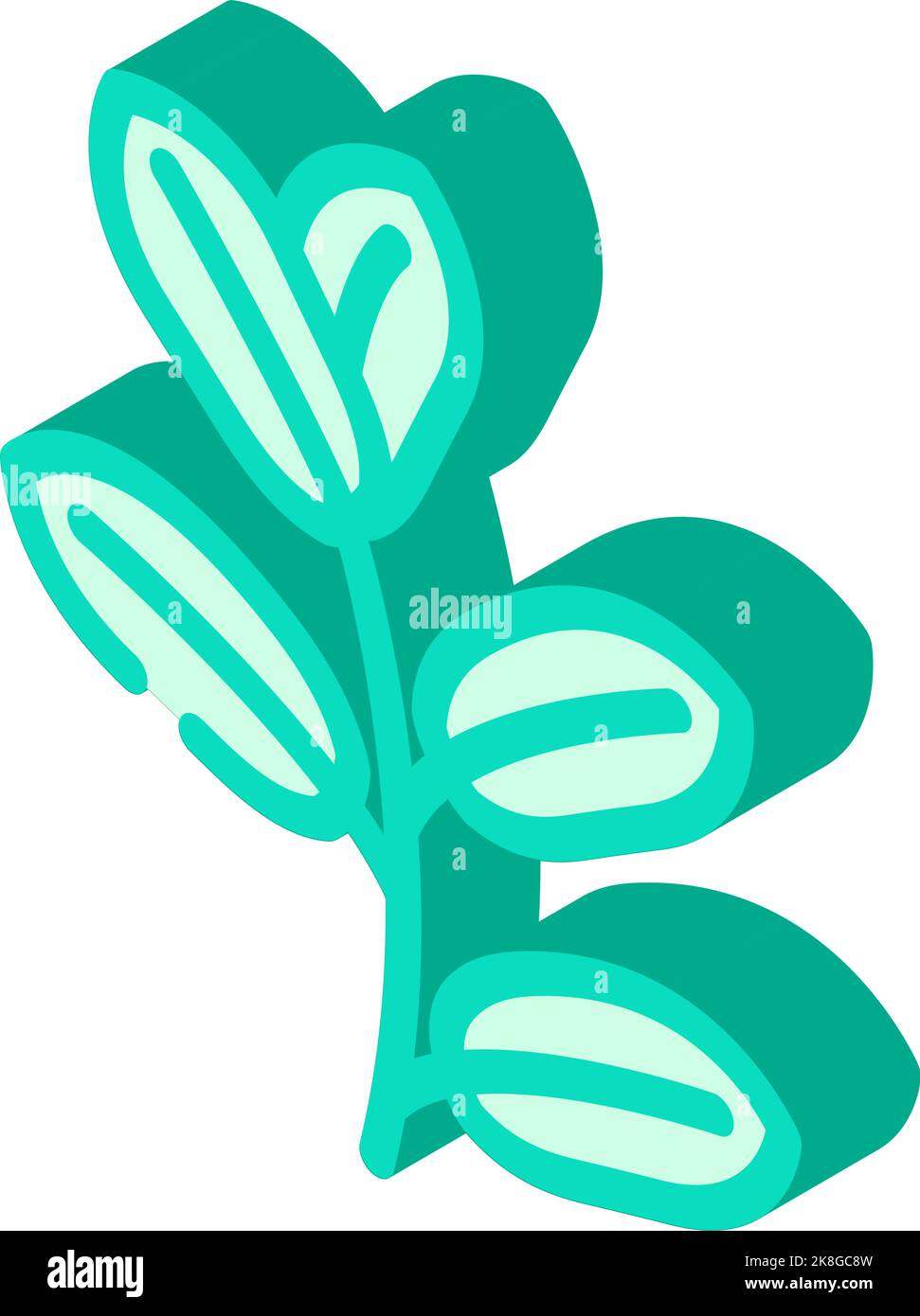 zamioculcas tropical leaf isometric icon vector illustration Stock Vector Image & Art - Alamy