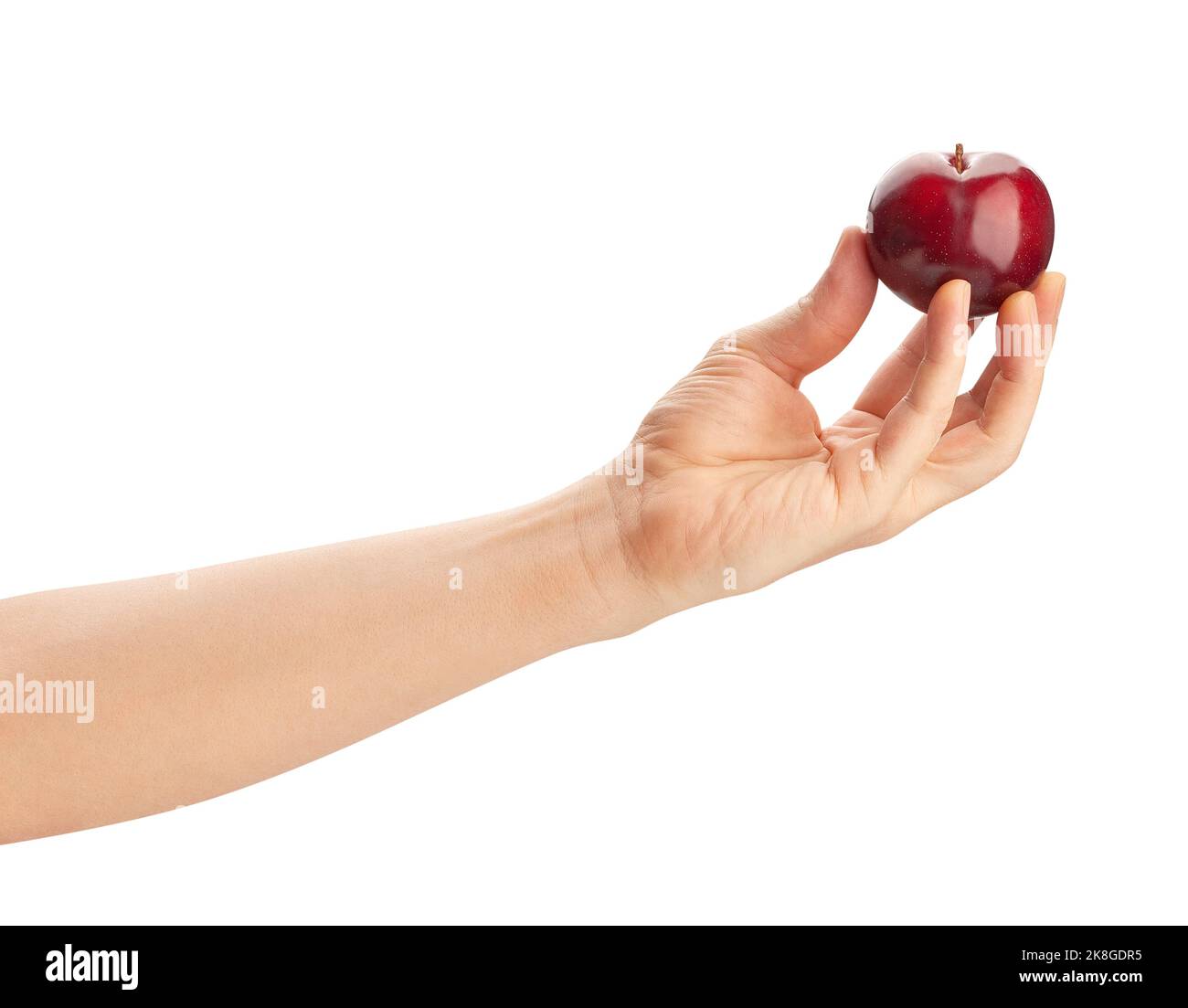plum in hand path isolated on white Stock Photo - Alamy