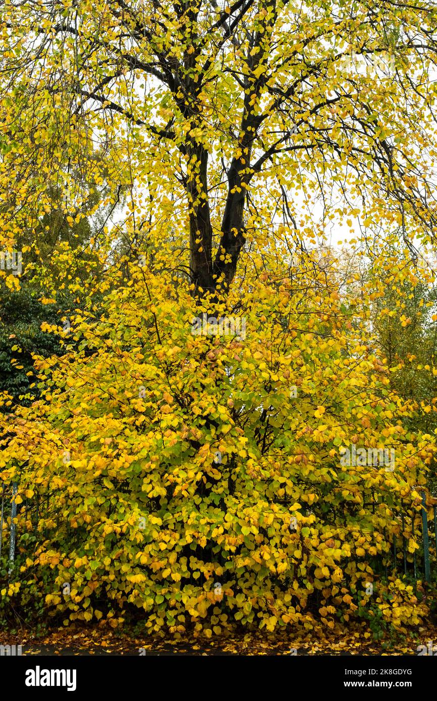 Simple Stunning Photography Stock Photo - Alamy