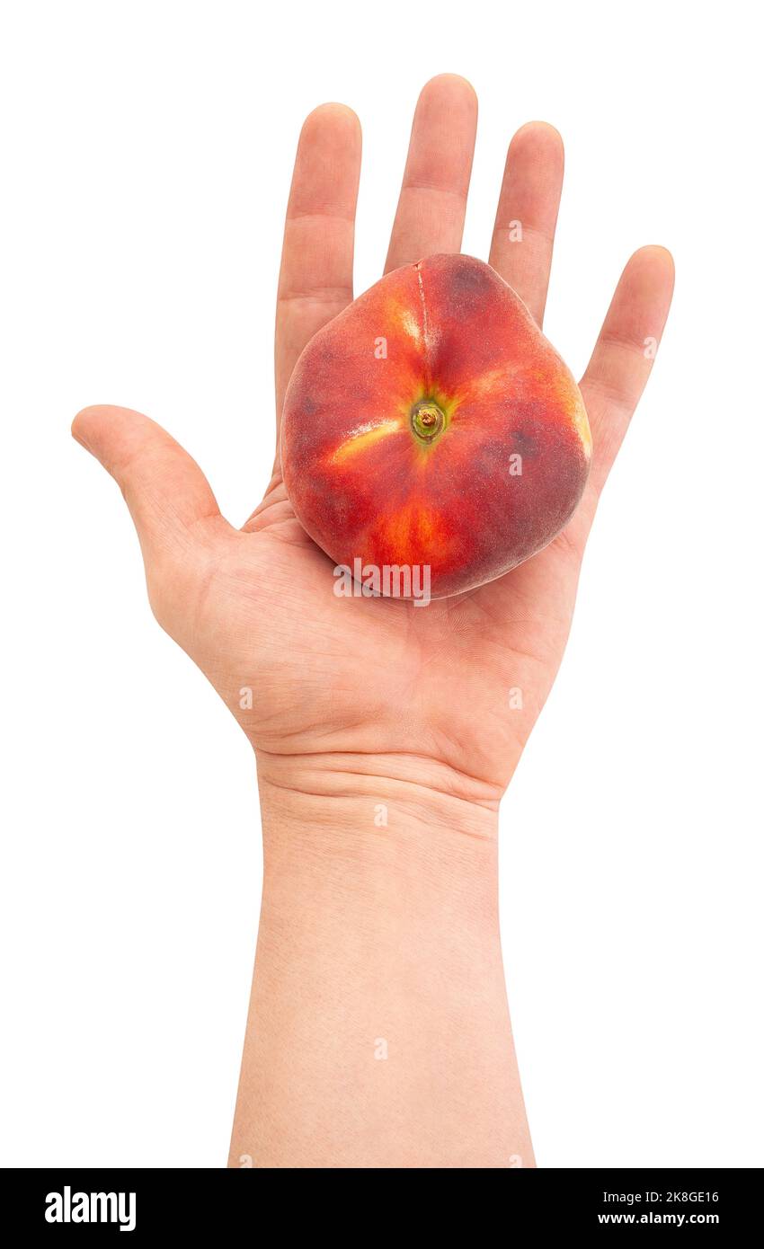 flat peach on hand palm path isolated on white Stock Photo - Alamy