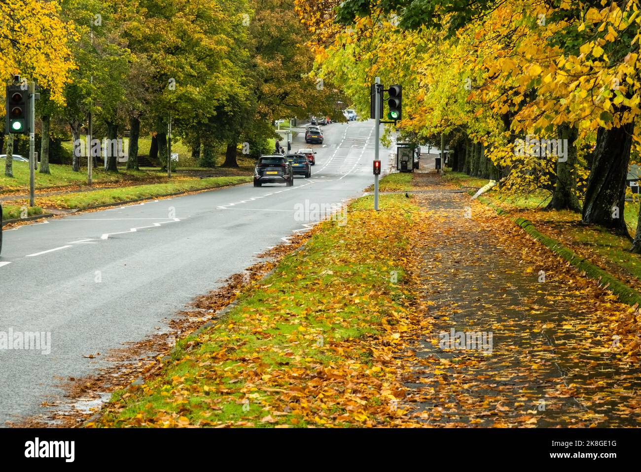 Simple Stunning Photography Stock Photo - Alamy