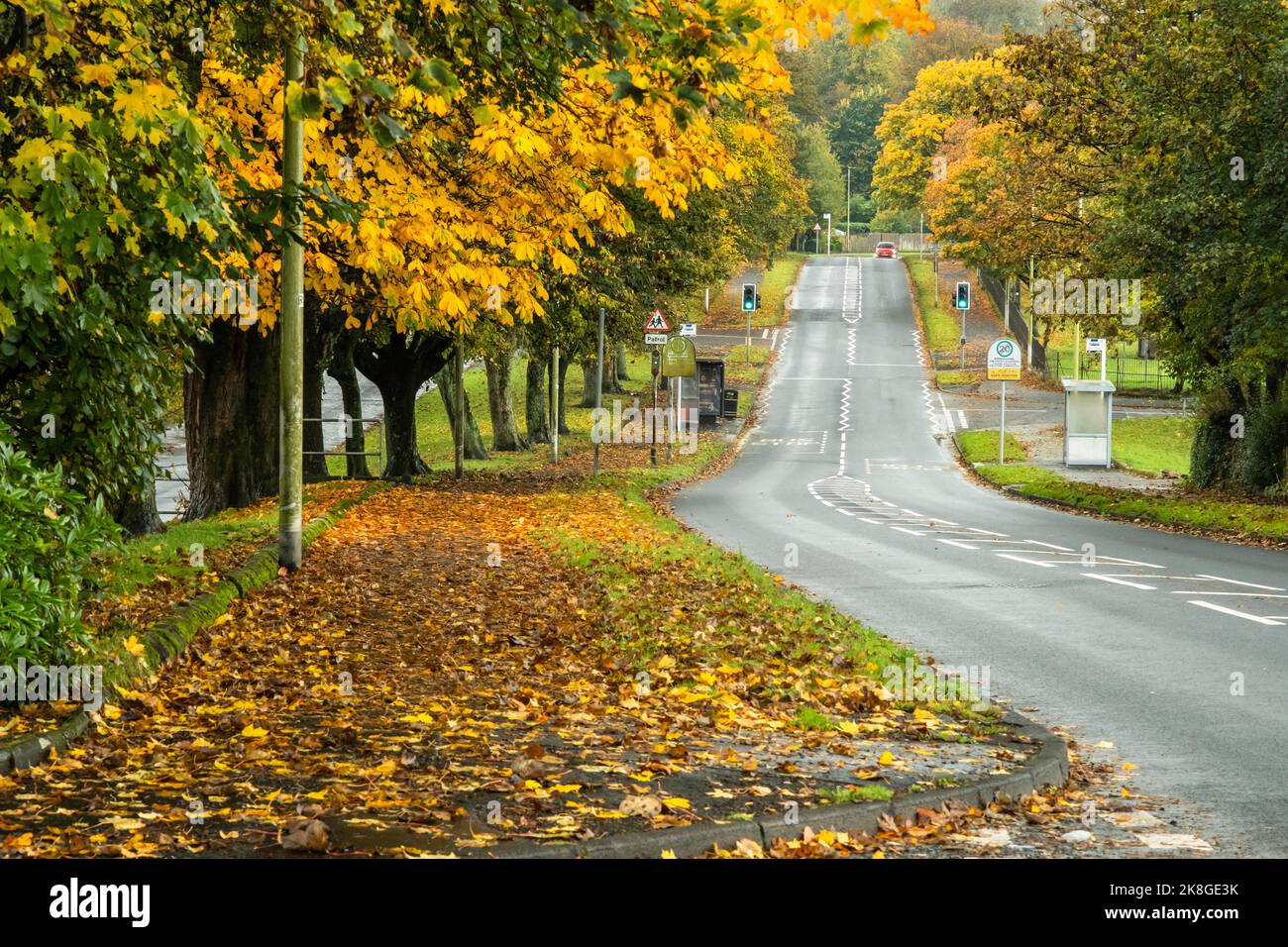 Simple Stunning Photography Stock Photo - Alamy