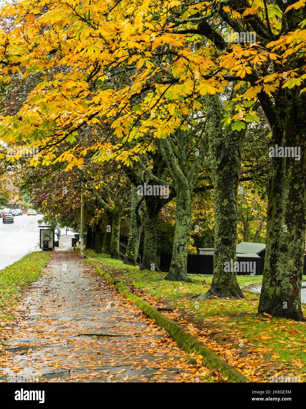 Simple Stunning Photography Stock Photo - Alamy