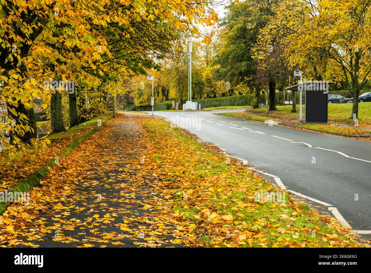 Simple Stunning Photography Stock Photo - Alamy