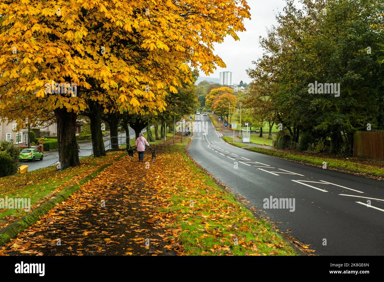 Simple Stunning Photography Stock Photo - Alamy
