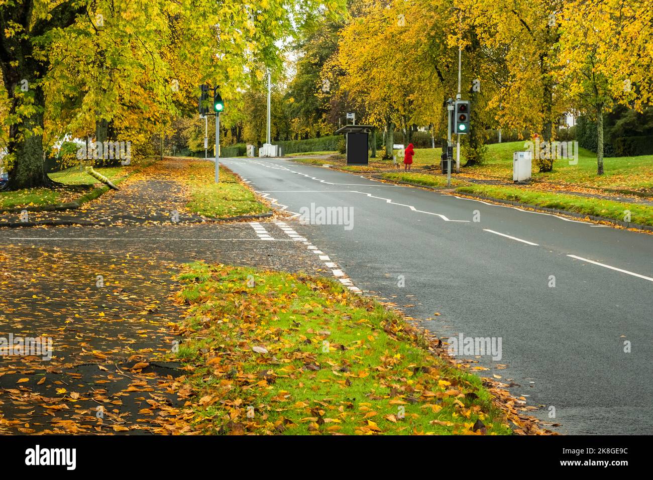 Simple Stunning Photography Stock Photo Alamy