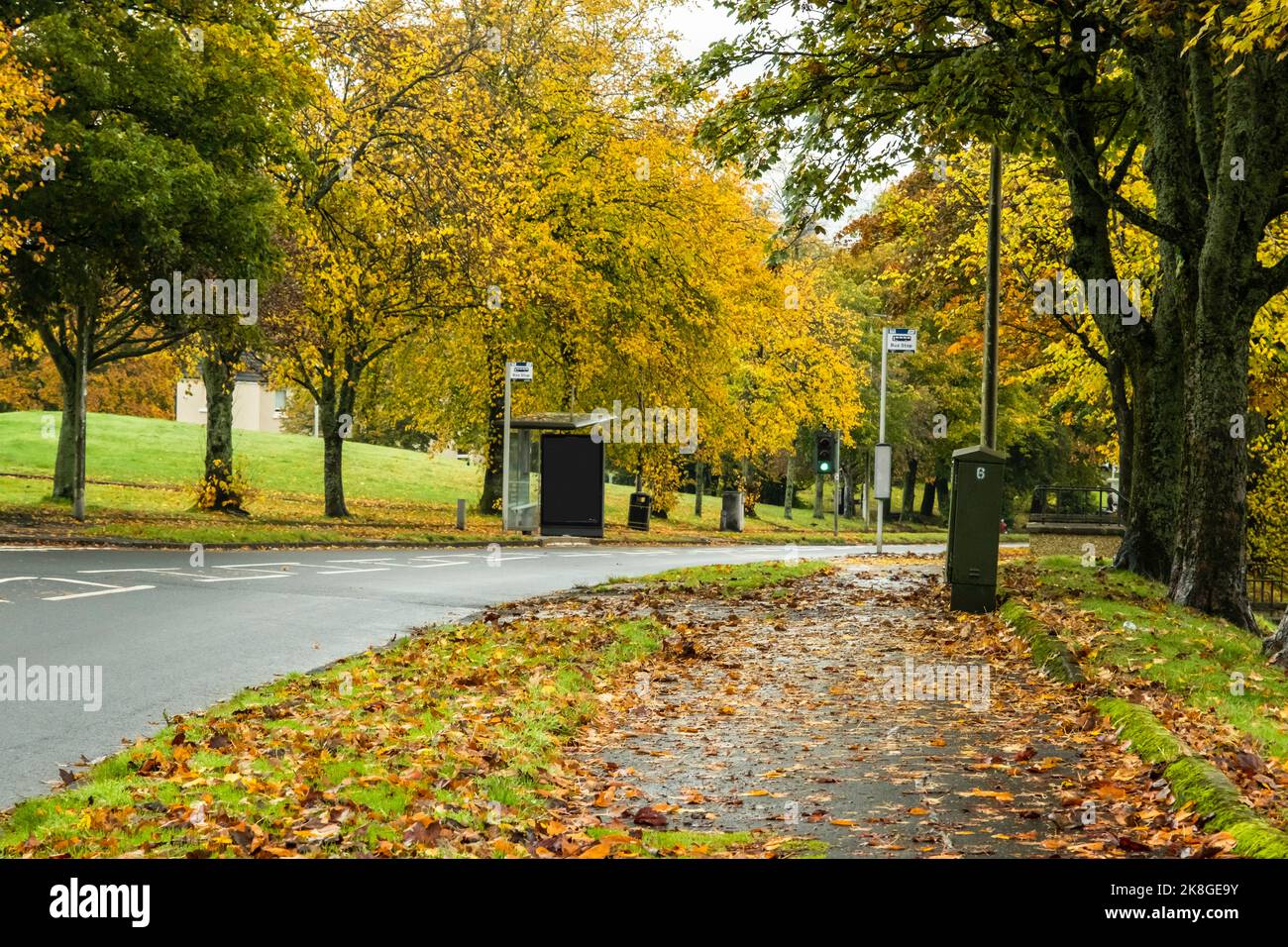 Simple Stunning Photography Stock Photo - Alamy