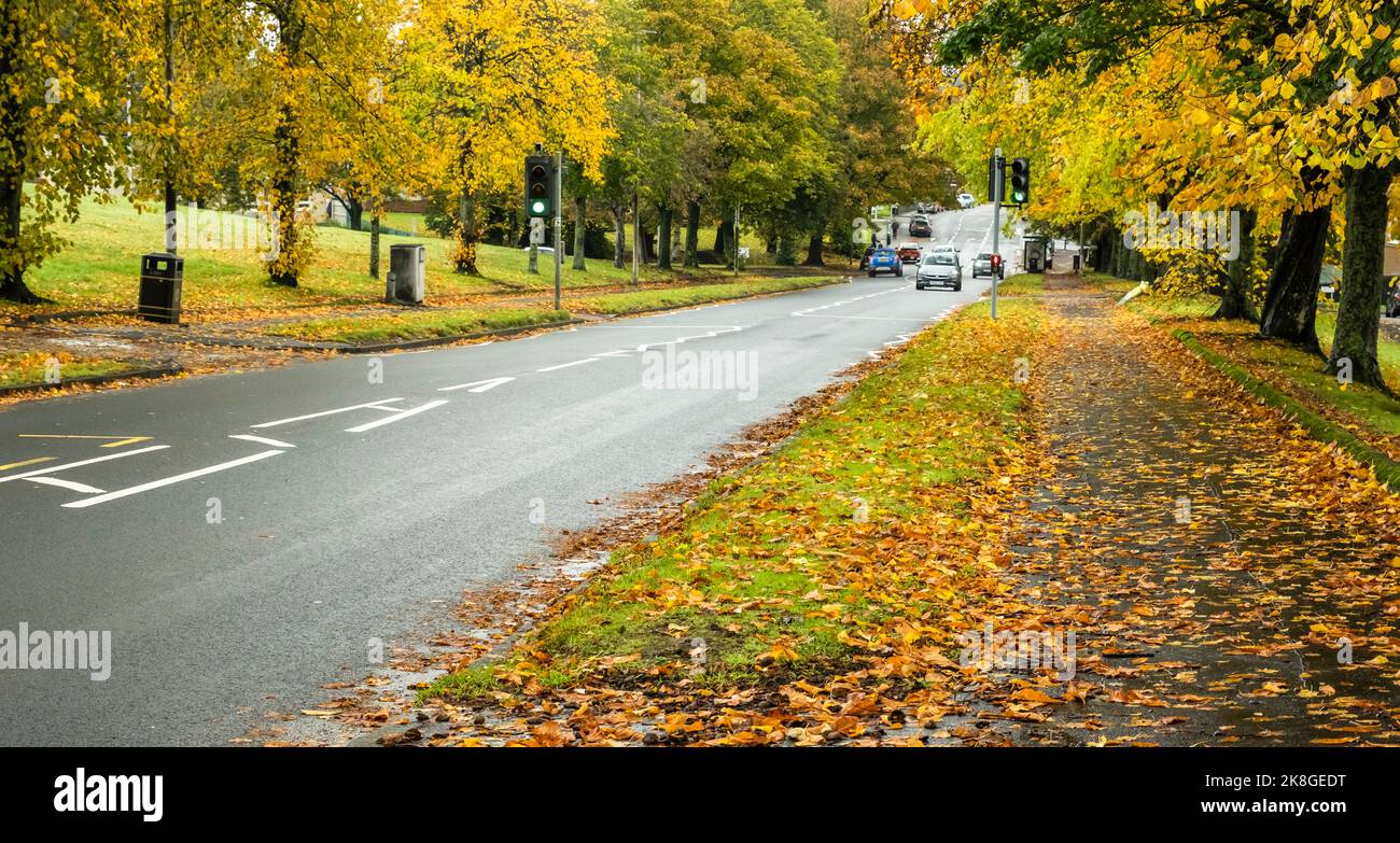 Simple Stunning Photography Stock Photo - Alamy