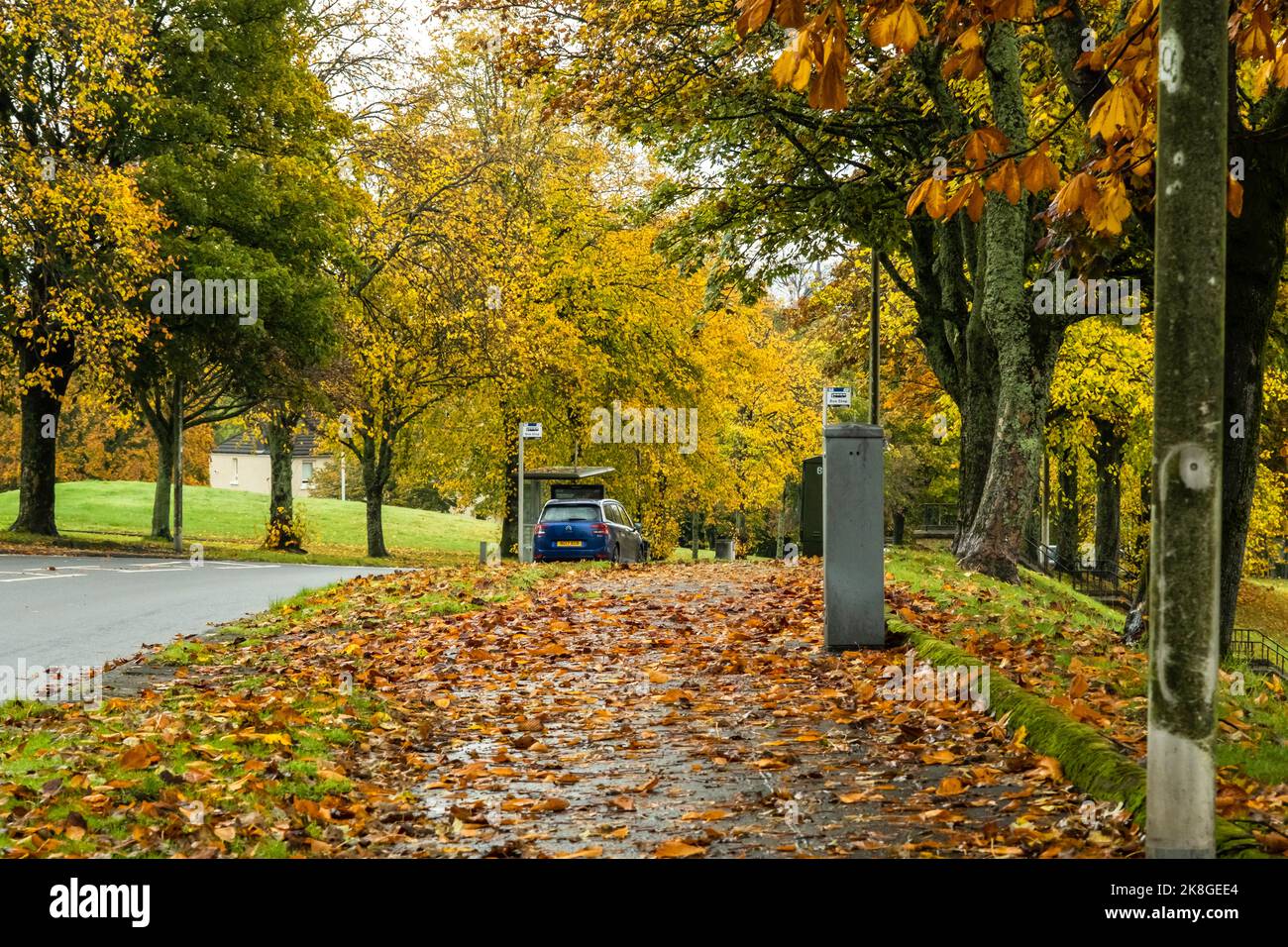Simple Stunning Photography Stock Photo - Alamy