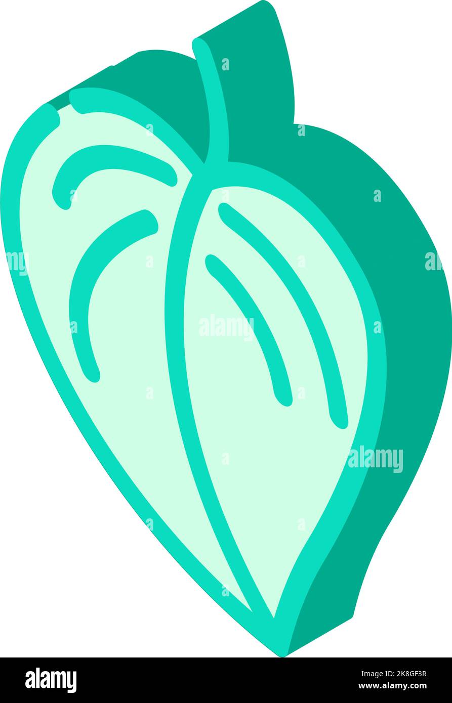 monstera plant leaf isometric icon vector illustration Stock Vector ...
