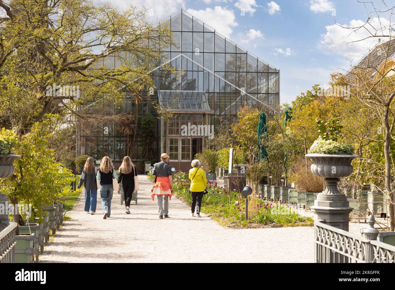 Greenhouse of the Hortus botanicus in Leiden. It is the oldest ...