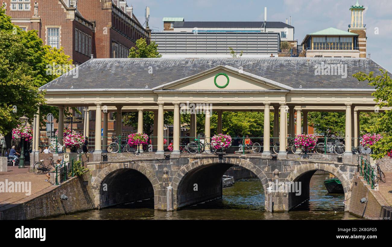 Fixed arch hi-res stock photography and images - Alamy
