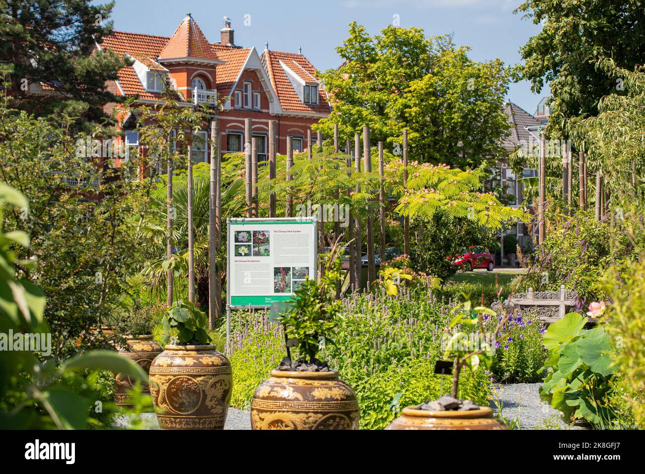 Hortus botanicus in Leiden. It is the oldest botanical garden in the ...
