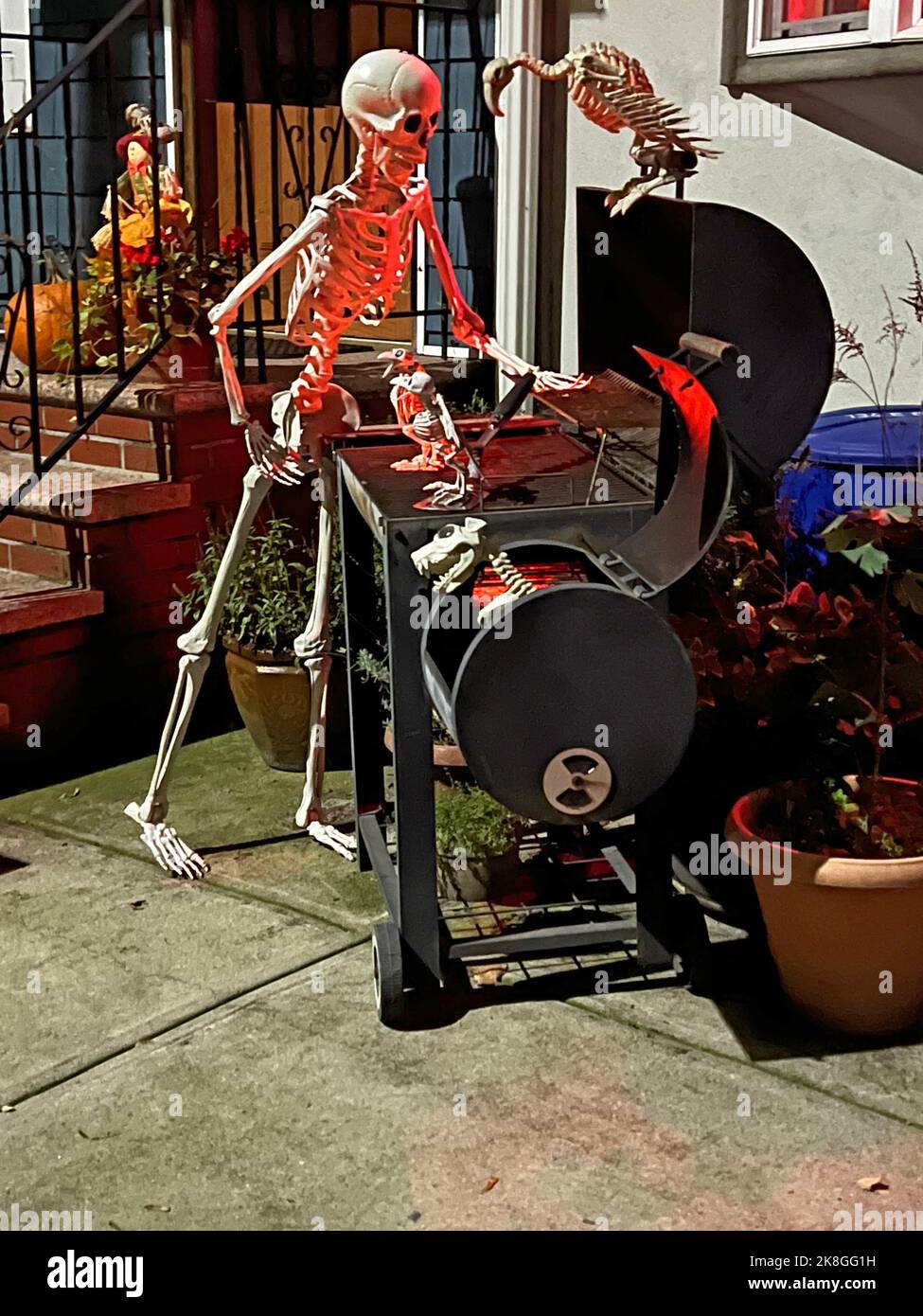 Freaky Halloween skeleton having a barbecue in the fron yard of a house ...