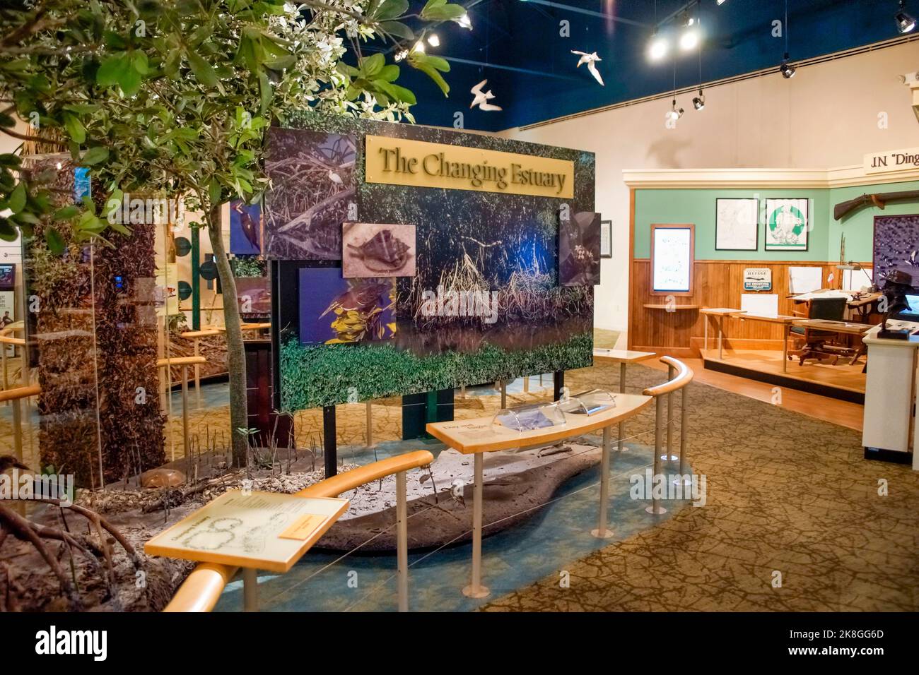 Displays in the J.N. "Ding" Darling National Wildlife Refuge Visitor ...