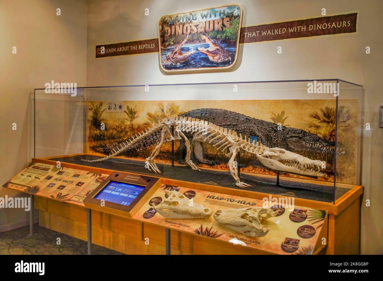 Alligator display in the J.N. "Ding" Darling National Wildlife Refuge ...