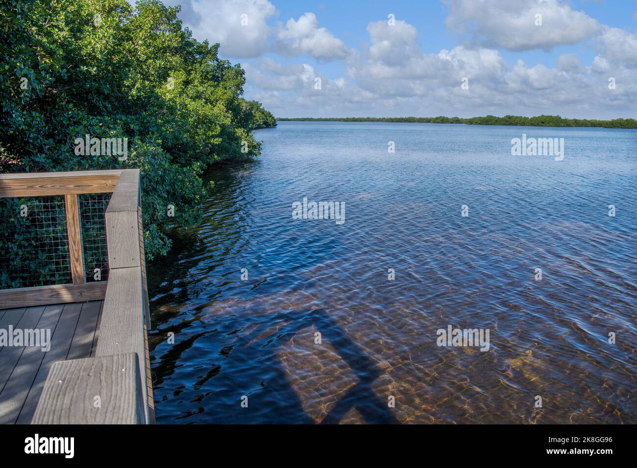 Water view from the Red Mangrove Overlook Trail at the Darling National ...