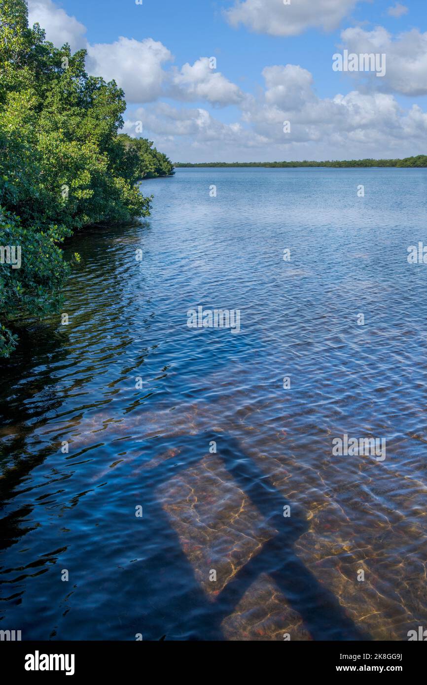 Water view from the Red Mangrove Overlook Trail at the Darling National ...