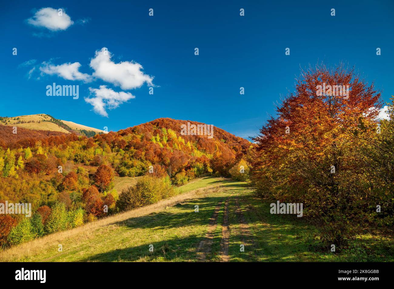 Aerial view amazing fall mountains hi-res stock photography and images ...