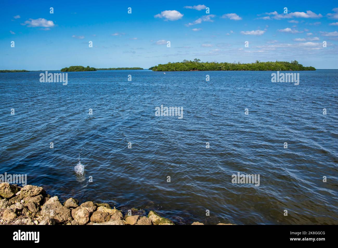 Water view from the Wulfert Keys Trail at the Darling National Wildlife ...