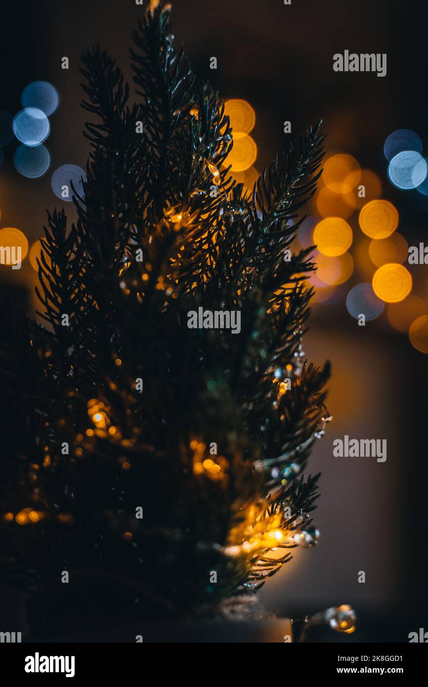 christmas tree warm garland on blurred background. night blur yellow ...