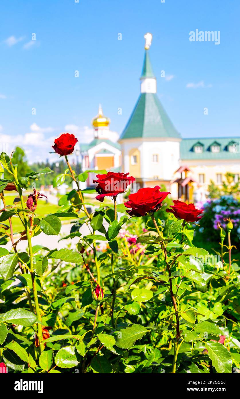 Gold rose dome hi-res stock photography and images - Alamy