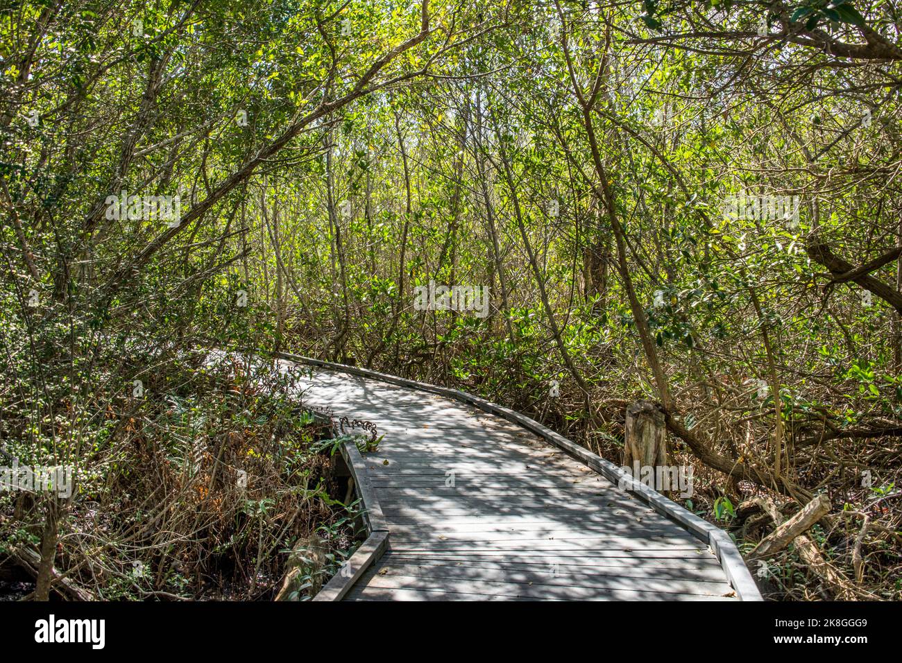 The Calusa Shell Mound Trail at the Darling National Wildlife Refuge ...