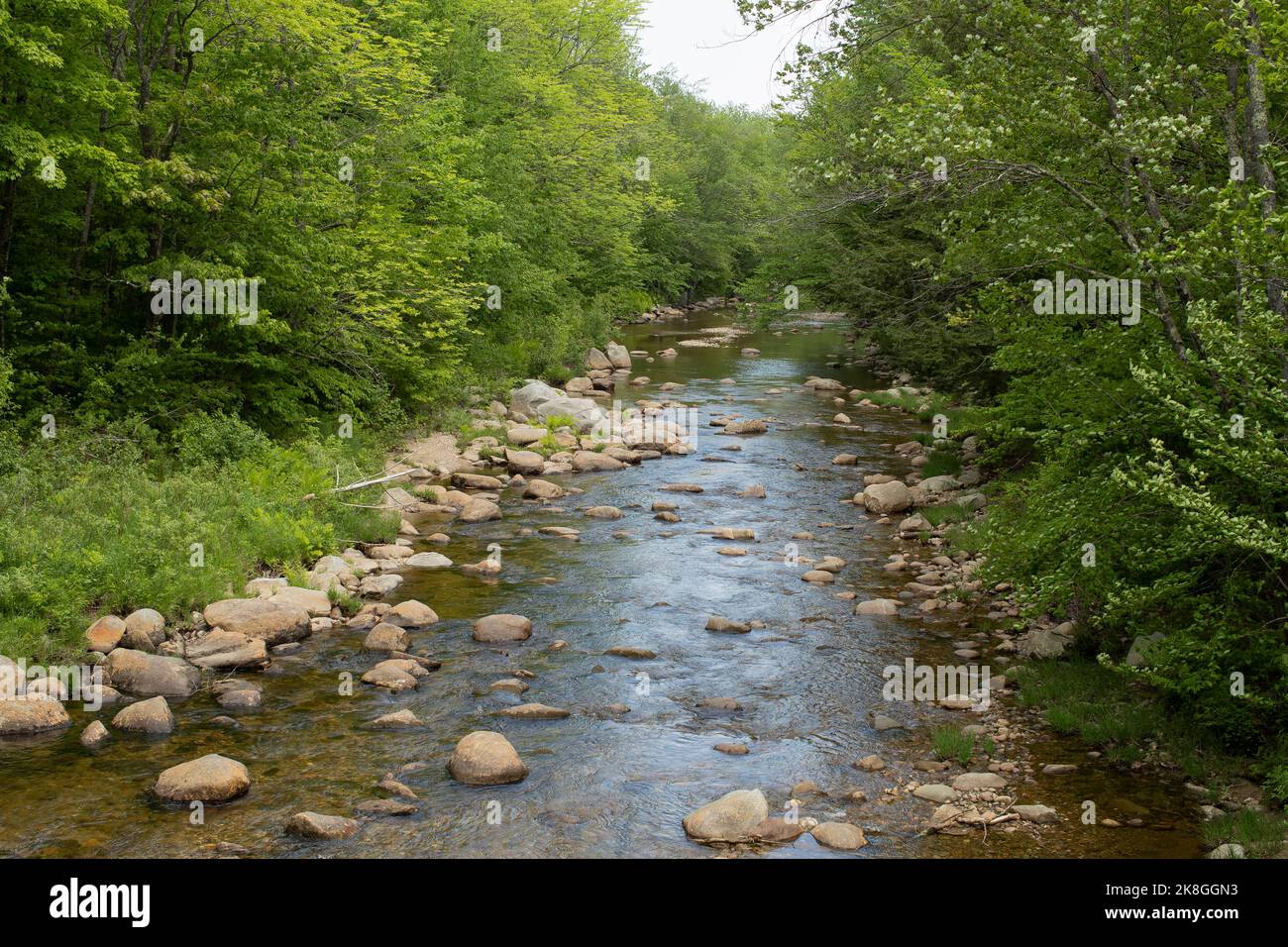 11.9 miles long river In The White Mountains of Northern NH. It's a ...