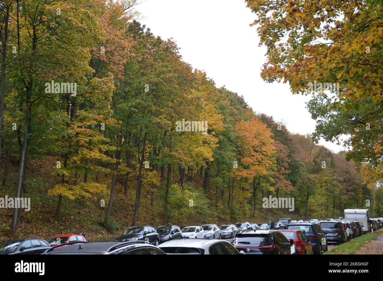 Berlin, Germany - October 23, 2022 - Autumn at Koenigstrasse in Wannsee ...
