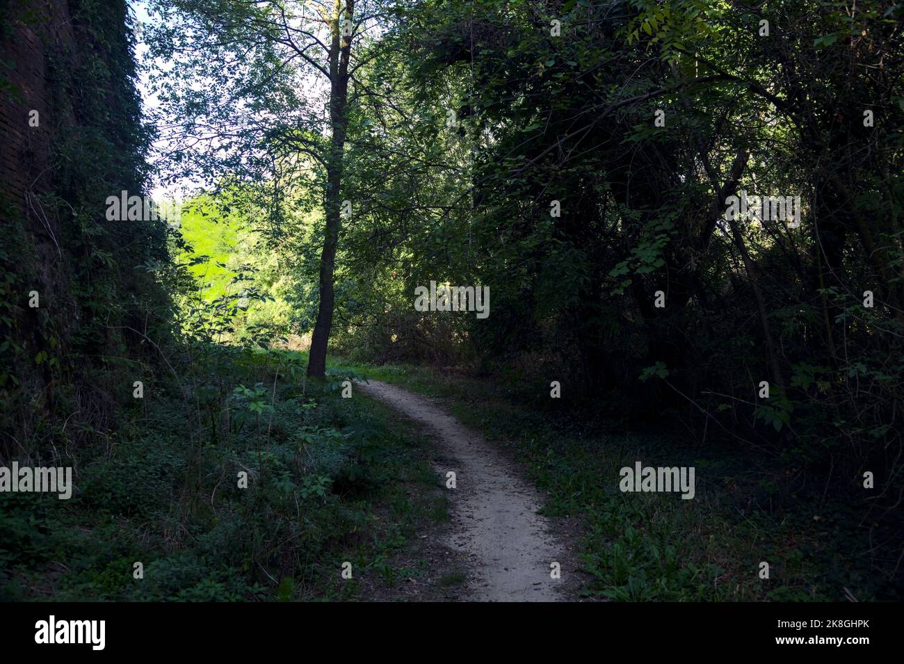 Bend in a narrow trail of a forest next to an old fortification wall on ...